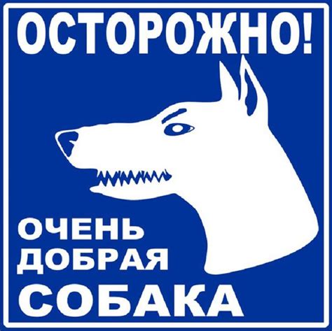 19 убойных табличек, предостерегающих от злых собак