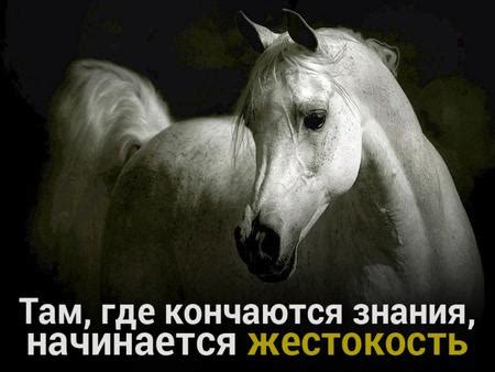 Презентация на тему: "Лошадиное железо Позвоночный столб Шея лошади ...
