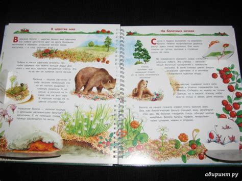 Книга: Растения - Татьяна Елумеева. Купить книгу, читать рецензии ...