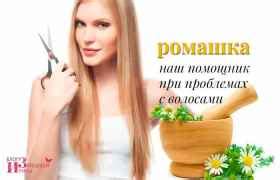 Ромашка аптечная. Полезные свойства. Лечение. Применение. Фото