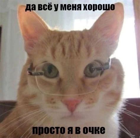 кисик в очке? хмм в 2024 г | Мемы, Забавные фото, Веселые мемы