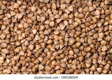 Roasted Cocoa Beans Diamond Chocolate Factory Stock Photo 2245279813 ...