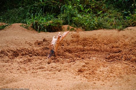 nice Paris from mpv : r/quicksand