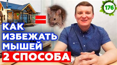 Грызуны любят каркасный дом? | Как защитить каркасный дом от мыши - YouTube