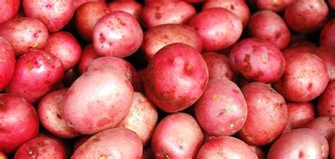 Картофель с красной кожурой и желтой мякотью