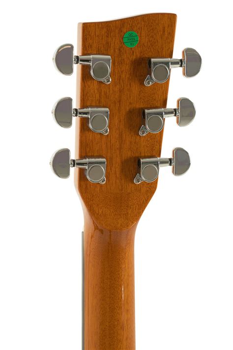 GEWA Guitar-Banjo 6-string with case