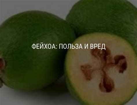 Польза и вред фейхоа, состав, пищевая ценность фейхоа и рекомендации к ...