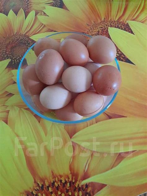 Домашние куриные яйца - Домашние продукты в Ванино