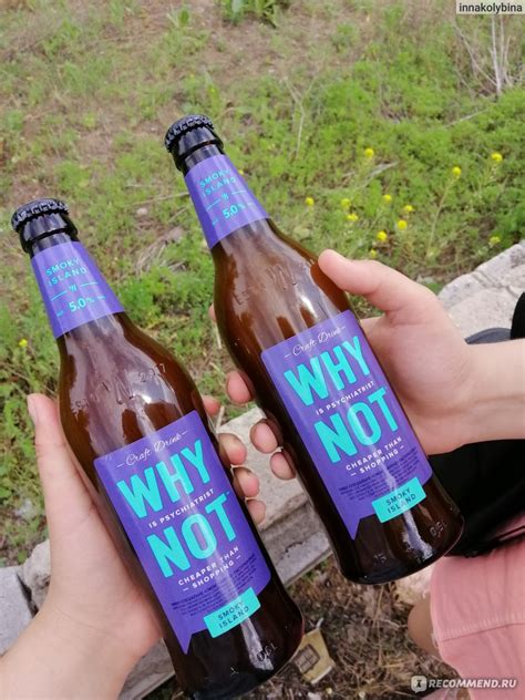 Пивной напиток ТОВ «Напої плюс» Why Not - «Почему нет? если да! » | отзывы
