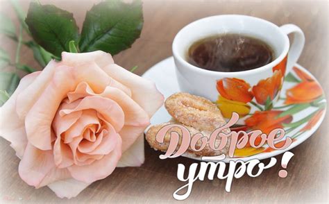 Доброе утро (60 фото) Красивые картинки с пожеланием доброго утра и ...