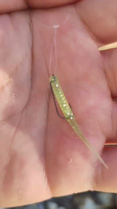 Мини офсетный колючек для микроджига #fishing #рыбалка - YouTube