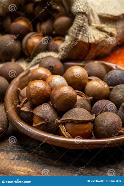 New Harvest of Ripe Fresh Australian Macadamia Nuts in Shell with ...