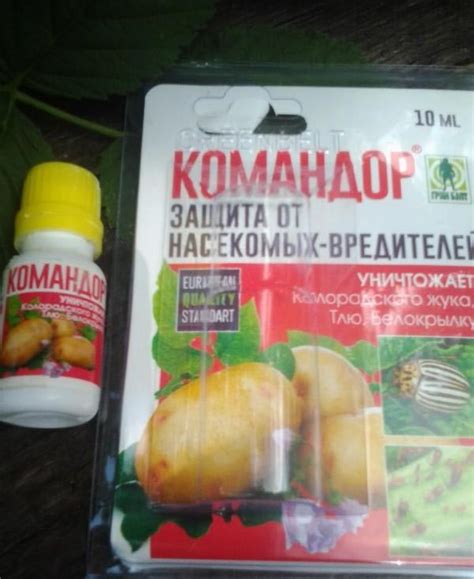 Инсектицид командор: инструкция по применению, действие и отзывы