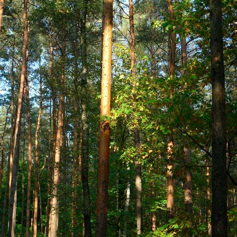 grunewald again… « supernaut