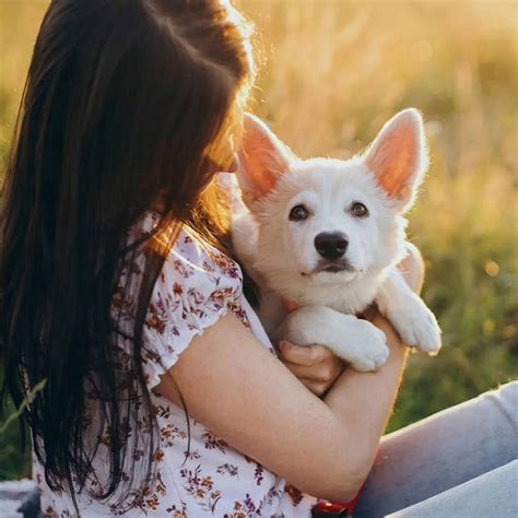 Blog Homepage – Smack Pet Food Inc.