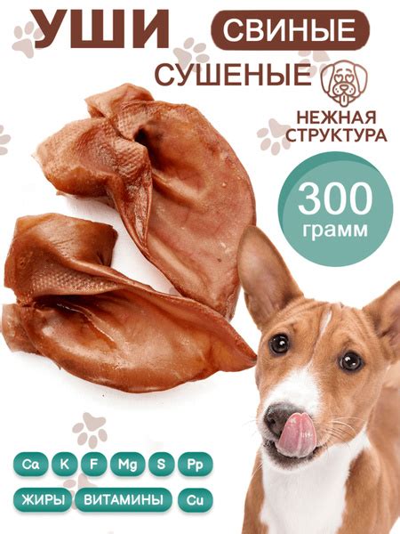 Уши свиные сушеные для собак, 300 гр. - купить с доставкой по выгодным ...