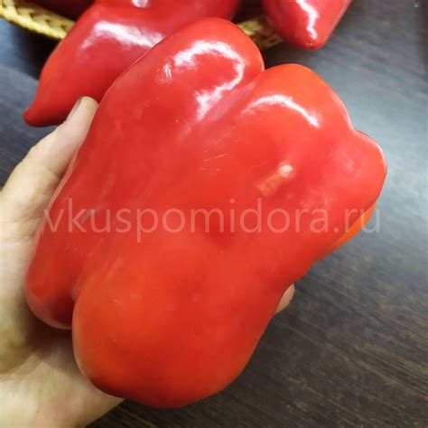 Купить семена перца сладкого сорта Король Севера (King Of The North)