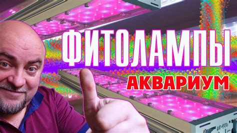 Фитолампы для аквариума - YouTube