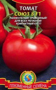 Томат Союз 8: ОТЗЫВЫ (5), фото урожайность | tomatland.ru