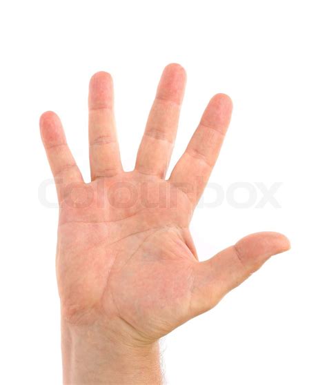 Fünf Finger des Mannes Hand | Stock Bild | Colourbox