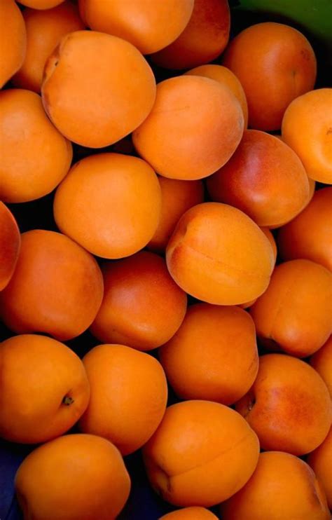 Abricot (fr) - ByO - Votre magasin naturel et bio