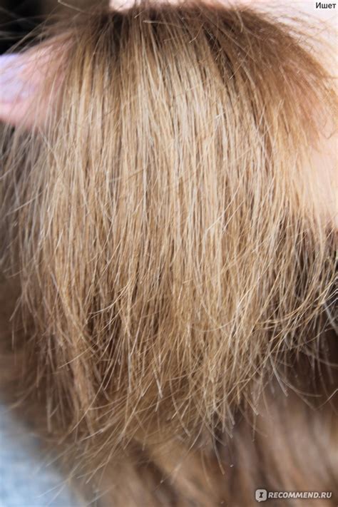 Масло для волос Elizavecca Cer-100 Hair Muscle Essence oil - «👌 ...