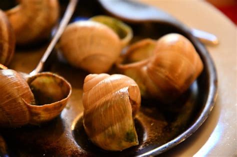 Escargot: O prato exótico que vale a pena experimentar - O Mundo é Seu