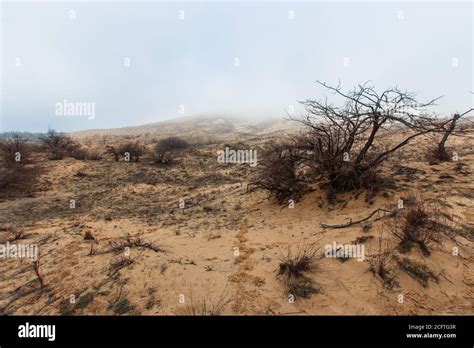 Barkhan Sarykum. Dagestan, Russia. Sand mountain in the Caucasus. Dune ...