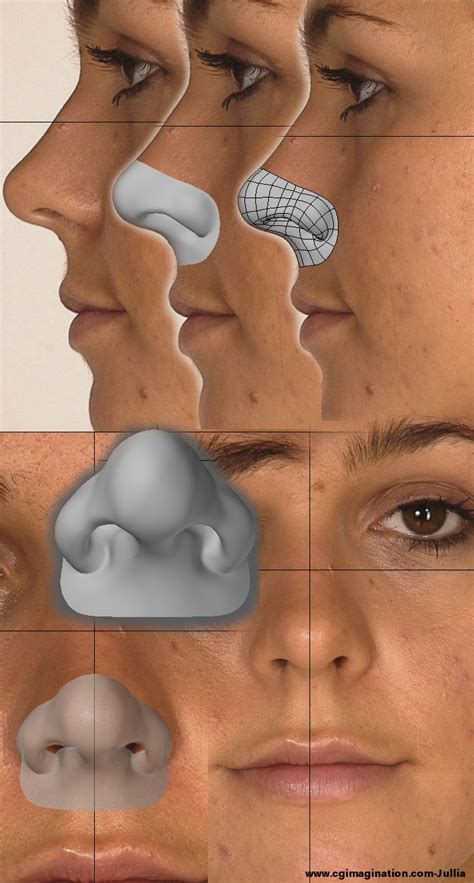 Pin by Ka Lista on Афродита | Human anatomy drawing, Anatomy for ...
