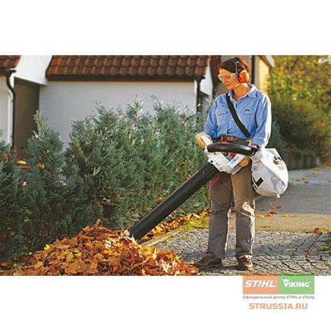 Всасывающий измельчитель Stihl SHE 71 48110110829 - Электрические ...