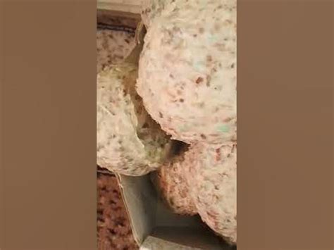 залипушки💗💙🤗 ️🤎💥 - YouTube
