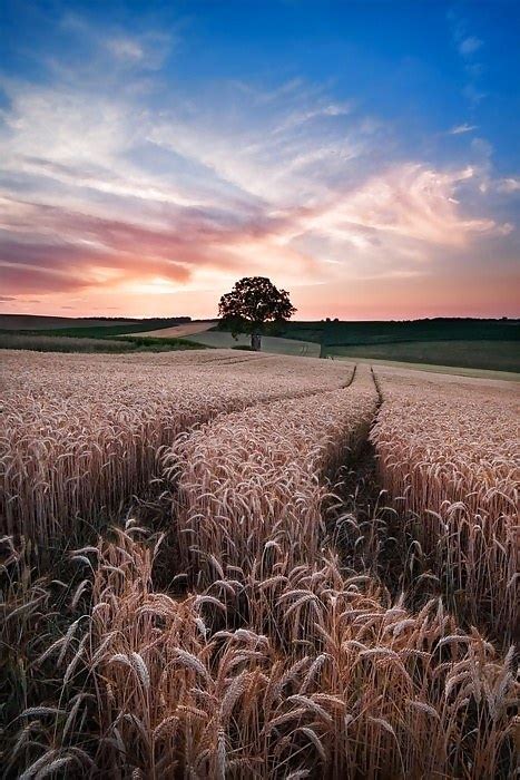 A LA CAMPAGNE