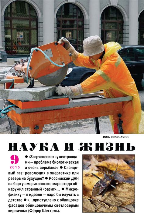 Наука и жизнь №09/2015 – скачать pdf на ЛитРес