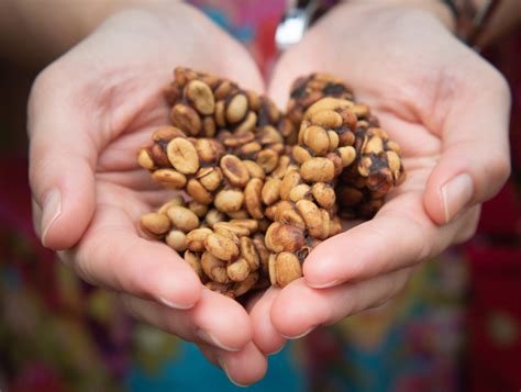 The truth behind the world's most famous coffee- civet coffee