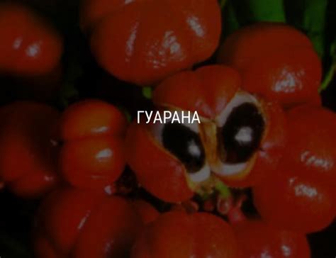 Полезные и вредные свойства гуараны, сферы ее применения, пищевая ...