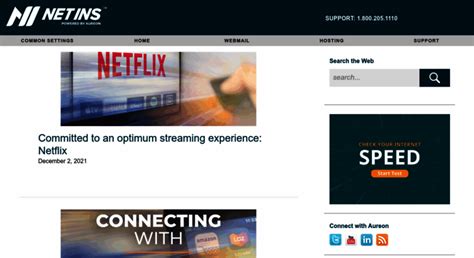 Access netins.net.