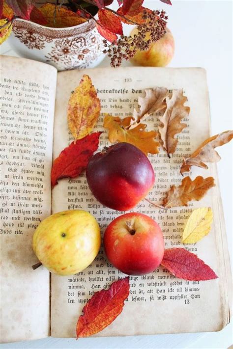 The Little Corner: Photo