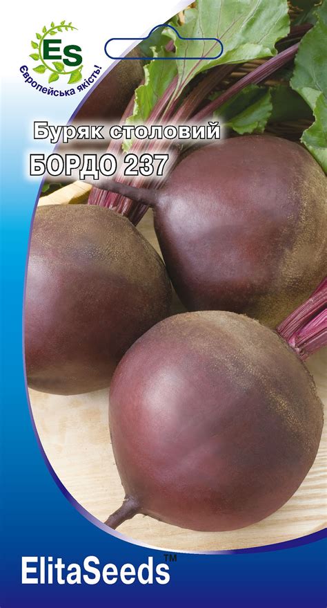 Буряк столовий Бордо 237 (3г.) | Elita Seeds - насiння гібридів та ...