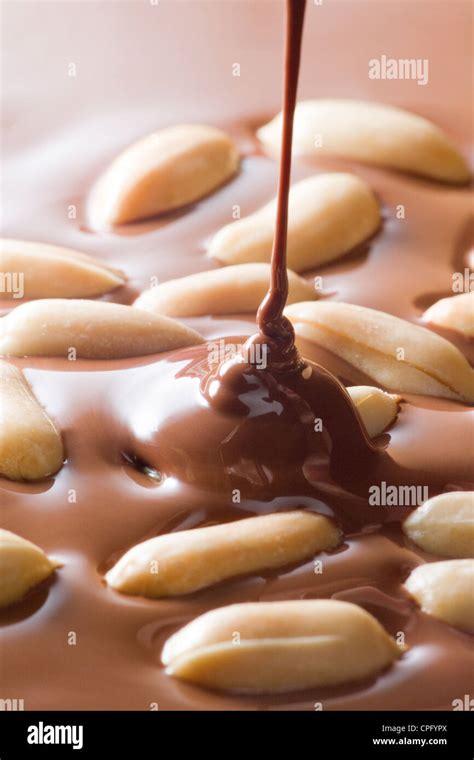Nuts and Chocolate Stock Photo - Alamy