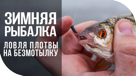 Зимняя рыбалка. Ловля плотвы на безмотылку. [FishMasta.ru] - YouTube