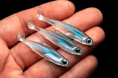 Tomy's Bait on Tackle.net