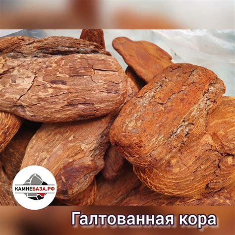 Кора лиственницы, мульча #мульча, #камнебаза, #ландшафтныйдизайн, #дача ...