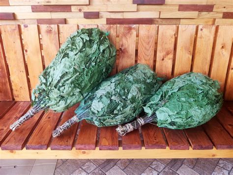 Веник, ДУБОВЫЙ, большие, от 55 см (ID#1234745020), цена: 60 ₴, купить ...