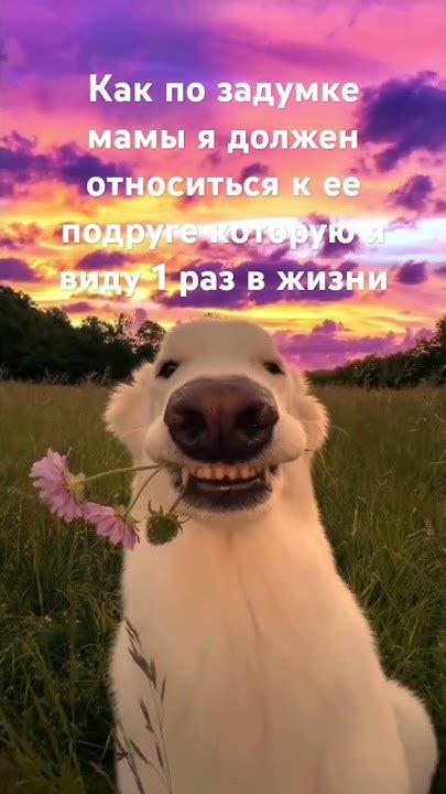 Кто правильно или нет пишите в коммаш - YouTube