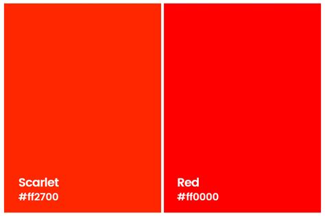 All You Want to Know About Scarlet Color: Meaning, Combinations and ...