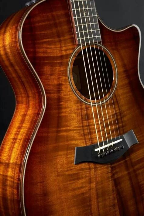 Taylor Guitar | Guitarra, Instrumentos, Violão