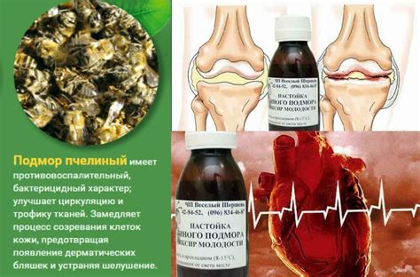 Пчелиный подмор: применение и лечебные свойства