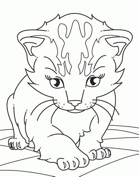 Раскраски Коты | Кот и кошка