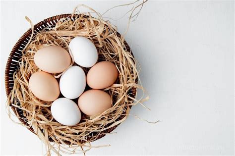Яйцо куриное пищевое столовое от производителя ООО «Хорошее дело ...