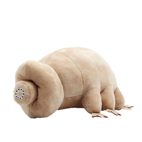Мягкая игрушка Тихоходки / Tardigrade 25cm - купить с доставкой по ...